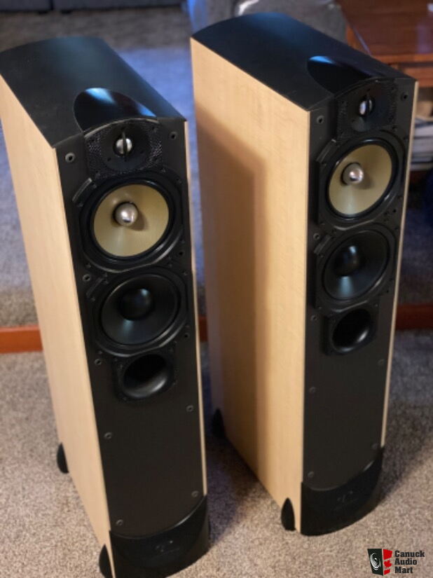 Paradigm Reference Studio/60 v.3 loudspeaker Specifications Photo ...