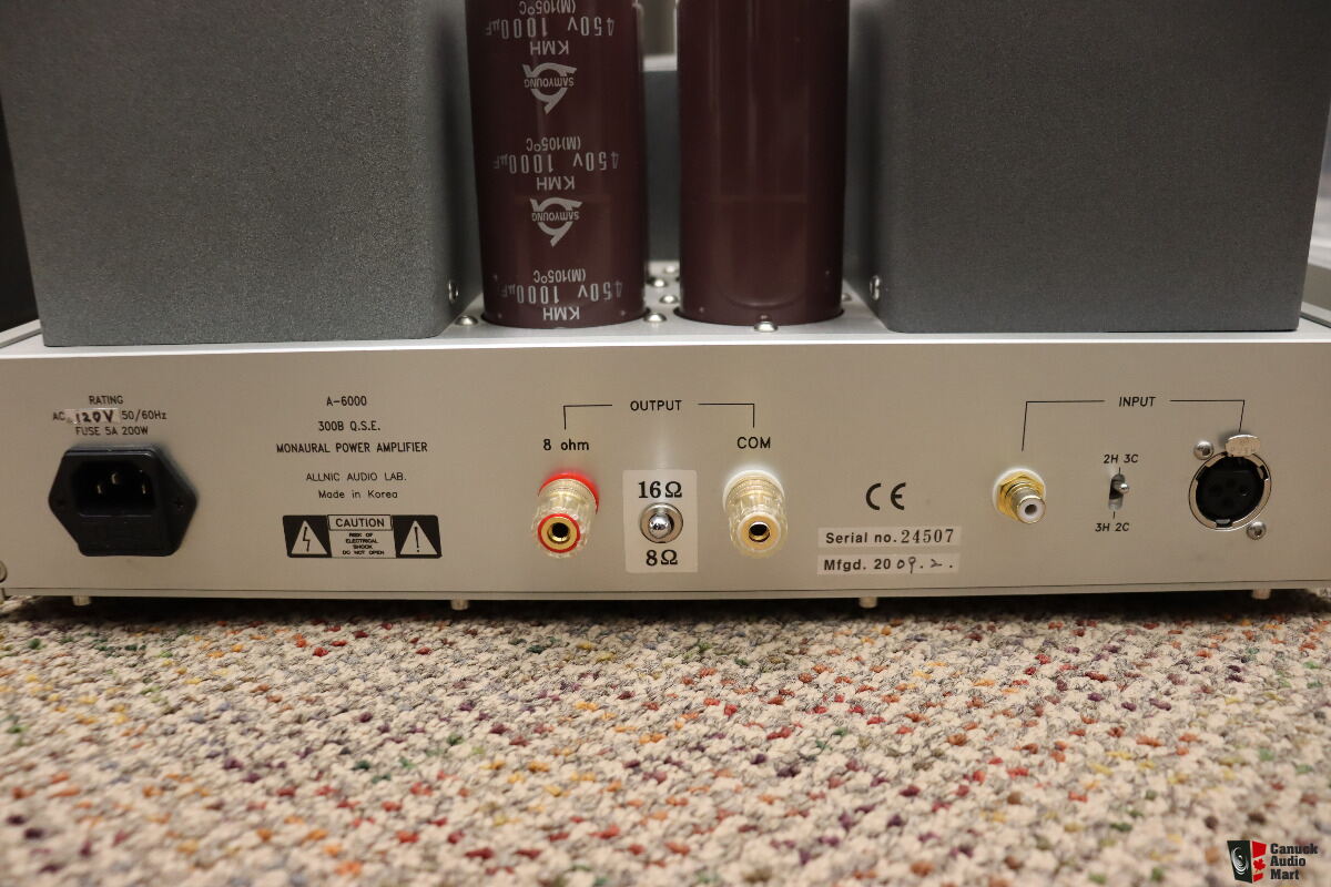 Allnic A6000 50 watt monoblock 300B SET Class A amps! Incredible! Photo ...
