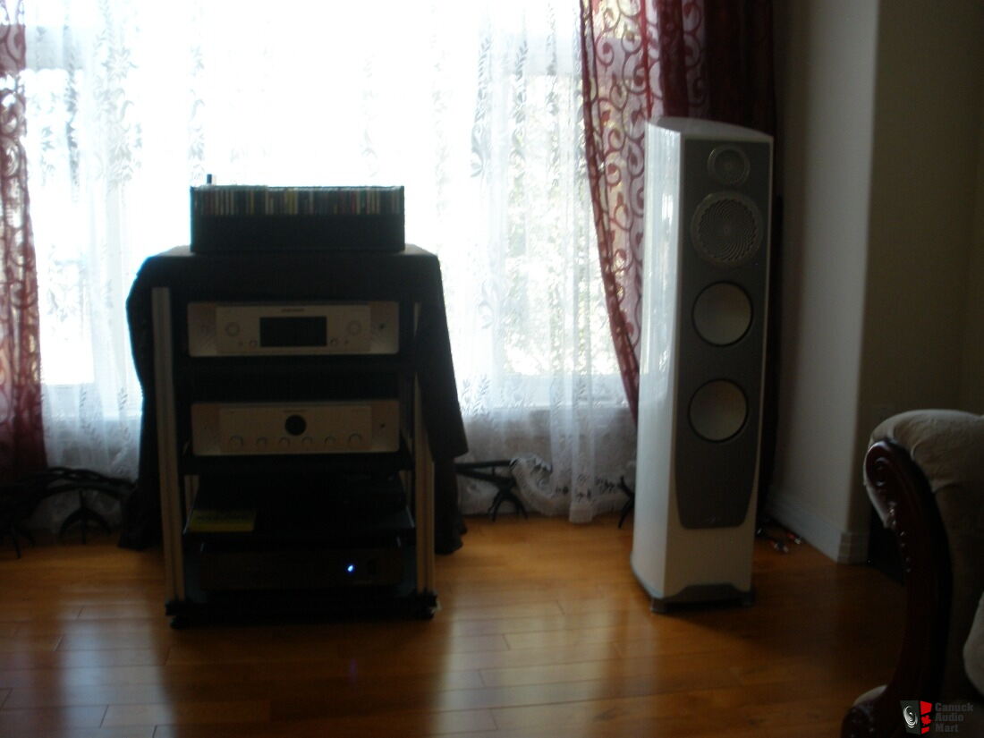 Paradigm Persona 3F Photo #4139784 - US Audio Mart