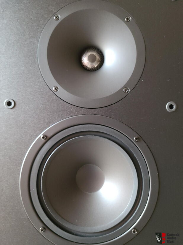 Paradigm Monitor SE 8000F Floor Standing Speakers Photo #4140618 - US ...