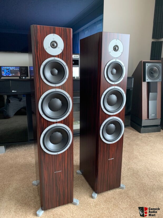 Dynaudio Excite x38 - Rosewood Photo #4141311 - Canuck Audio Mart