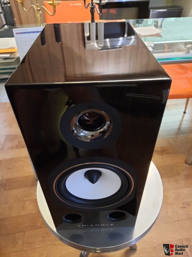 Triangle Comete 40th Anniversary Bookshelf Speaker Photo #4145808 ...