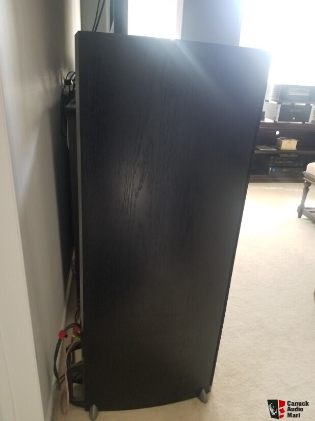 Polk Audio RTi A9 Floorstanding Loudspeakers Photo #4146659 - UK Audio Mart