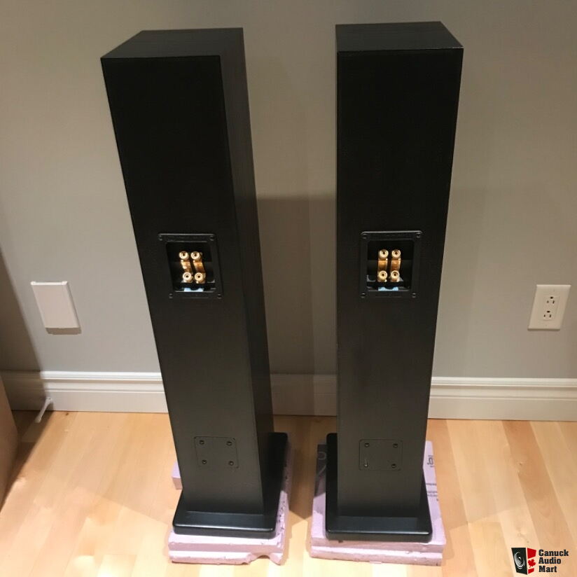 Monitor Audio MAG 903 Gold Speaker Photo #4148910 - Canuck Audio Mart