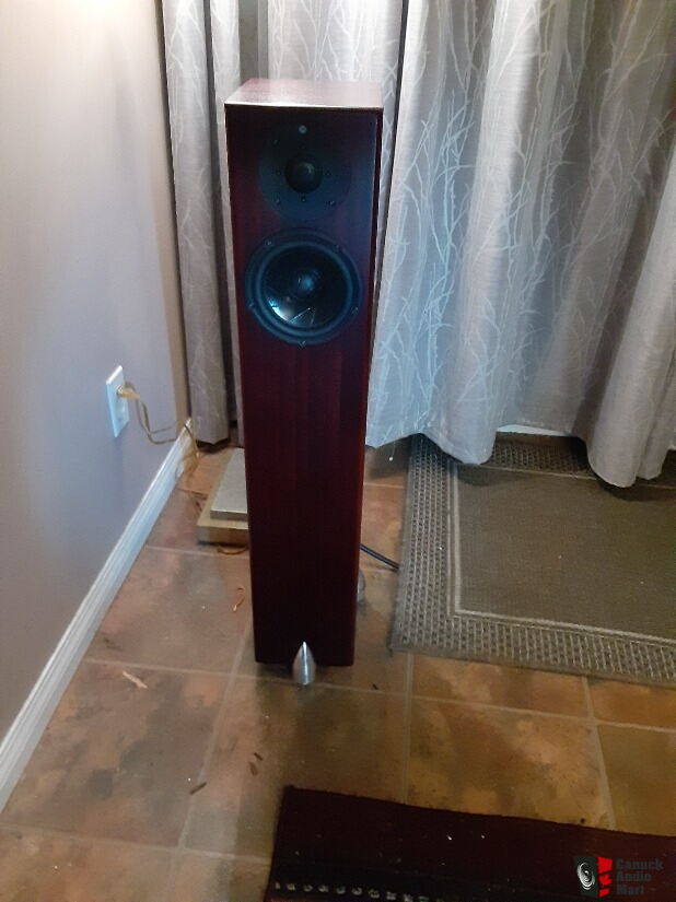 Totem HAWK Speakers For Sale - UK Audio Mart