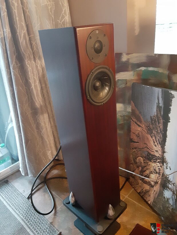 Totem HAWK Speakers Photo #4154284 - US Audio Mart