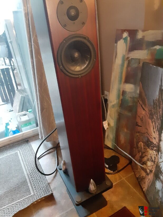 Totem HAWK Speakers Photo #4154284 - US Audio Mart