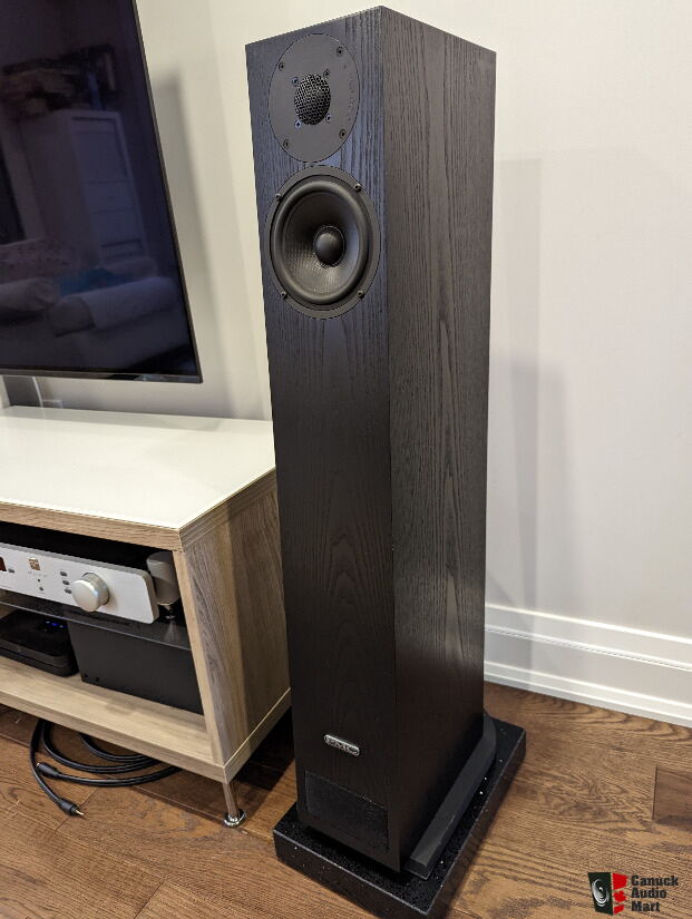PMC Twenty.23 Speakers - Black Oak Photo #4170752 - Canuck Audio Mart