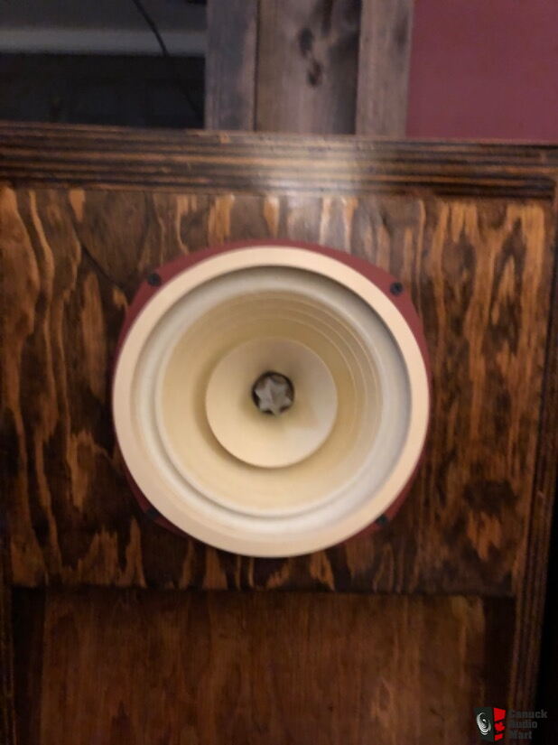Coral Beta 8's in BLH Photo #4171536 - Canuck Audio Mart