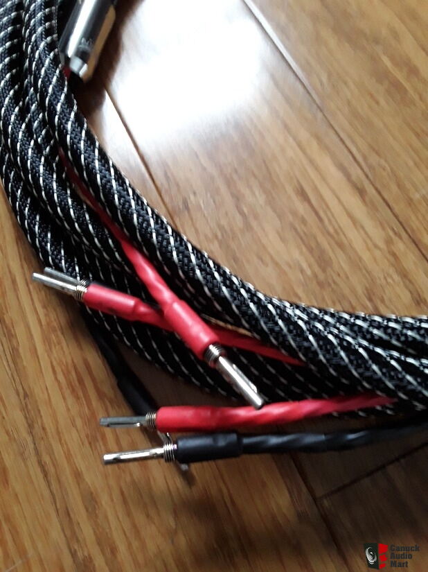 Raven Soniquil Speaker Cables Photo #4172225 - US Audio Mart