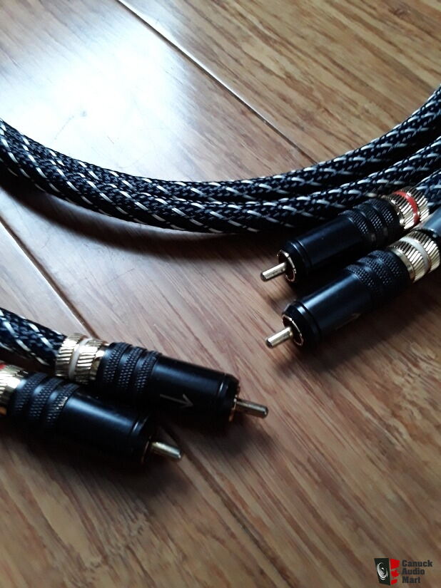 Raven Soniquil RCA Cables Photo #4172272 - Canuck Audio Mart