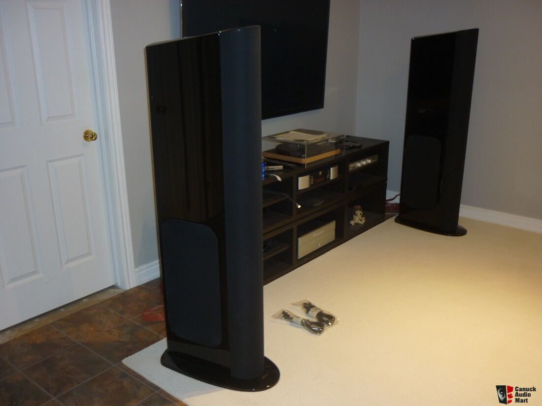 GoldenEar Triton Reference Speakers Photo #4177459 - US Audio Mart
