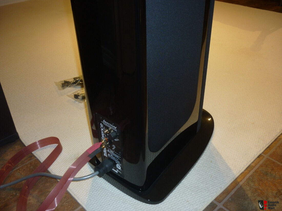 GoldenEar Triton Reference Speakers Photo #4177458 - US Audio Mart