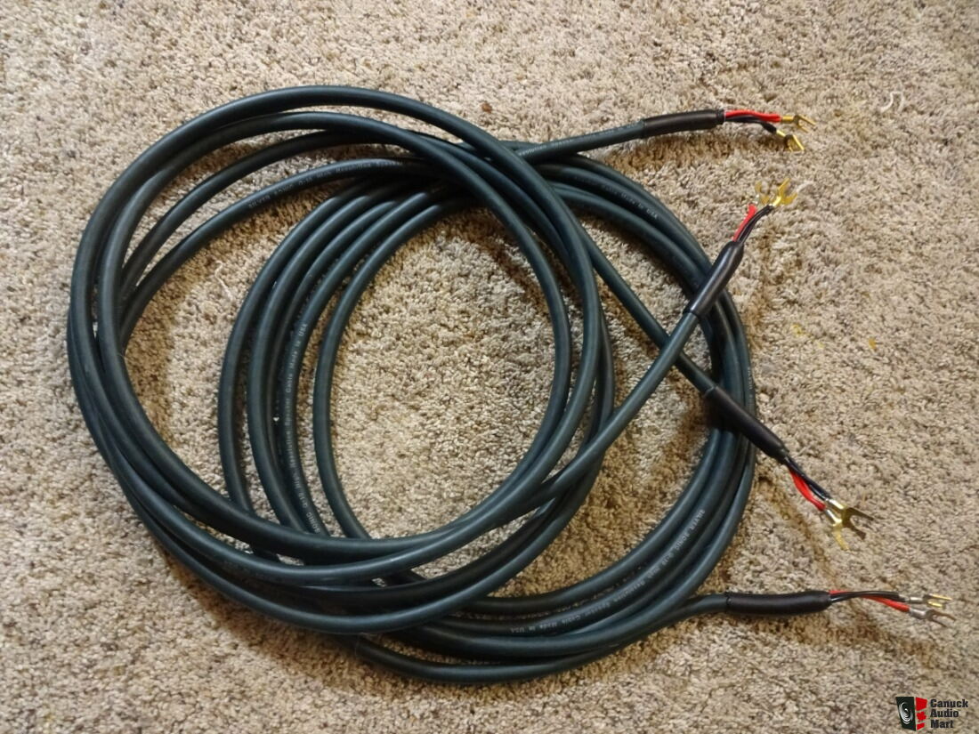 Silver Sonic Q-10 High Resolution Speaker Cable Photo #4179583 - Canuck ...
