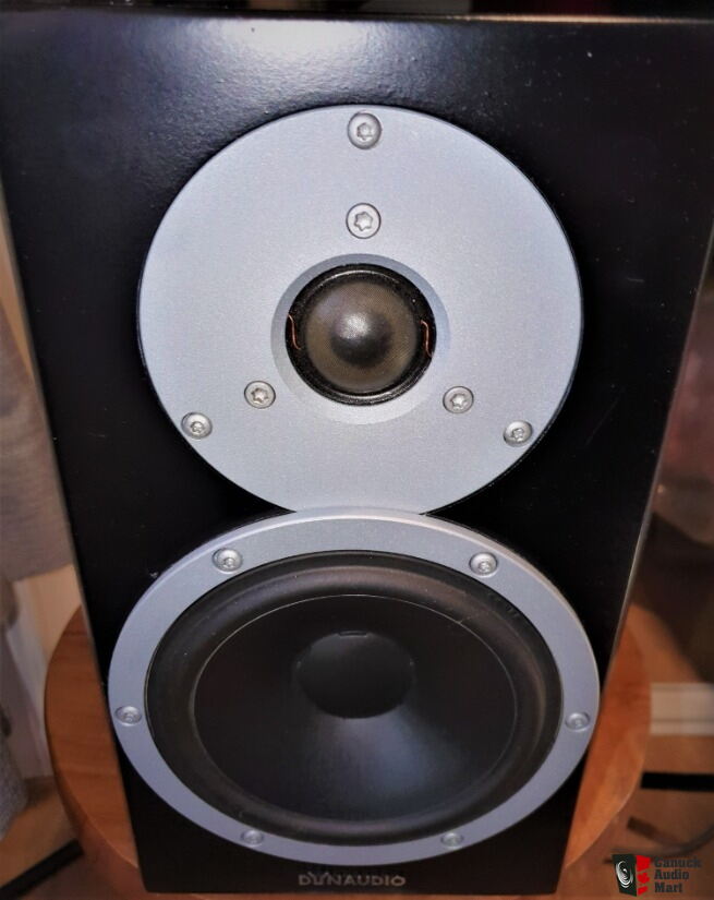 Dynaudio Excite X14 Standmount/Bookshelf Speakers - Satin Black finish ...