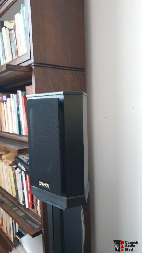 Small Tannoy 603 speakers, extra clean Photo #4183476 - Canuck Audio Mart
