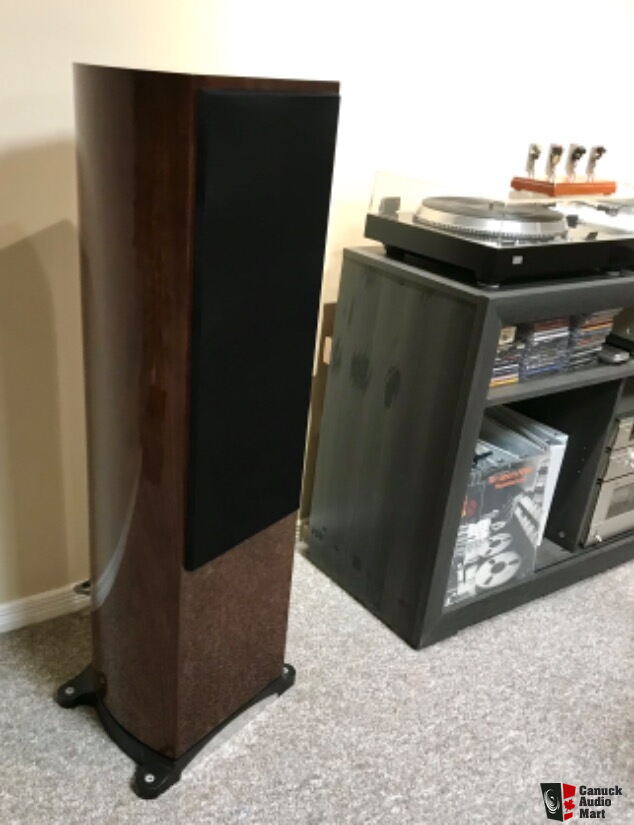 Tannoy DC10 TI Audiophile FLOOR STANDING Speakers For Sale - US Audio Mart