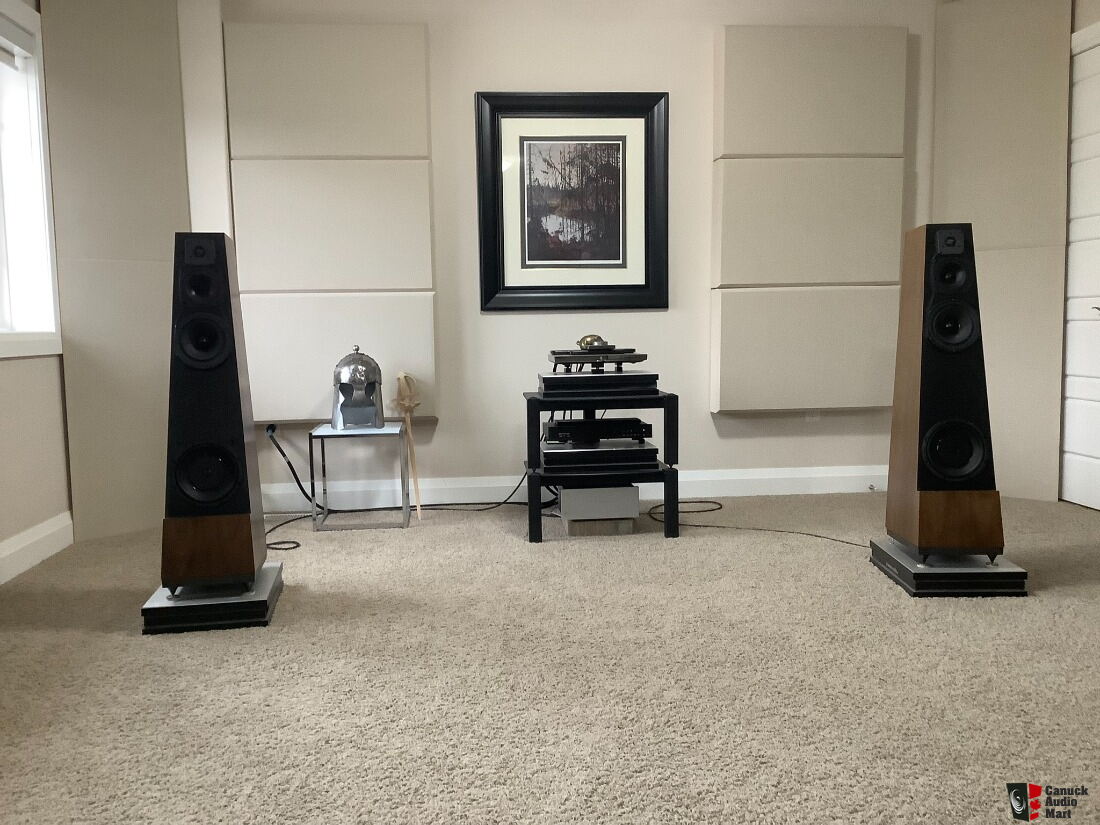 Vandersteen Treo CT Photo #4198664 - Canuck Audio Mart