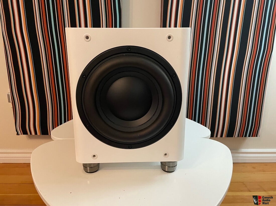 Dynaudio Sub 6 with Gia III feet For Sale - Canuck Audio Mart