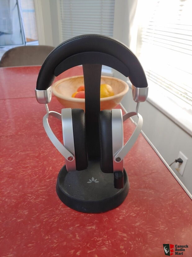 Hifiman Deva Pro Stealth Wireless Bluetooth Headphones Photo #4201480 ...