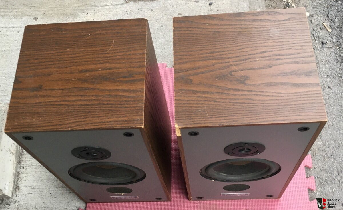 Paradigm model 5 speakers Photo #4201674 - US Audio Mart