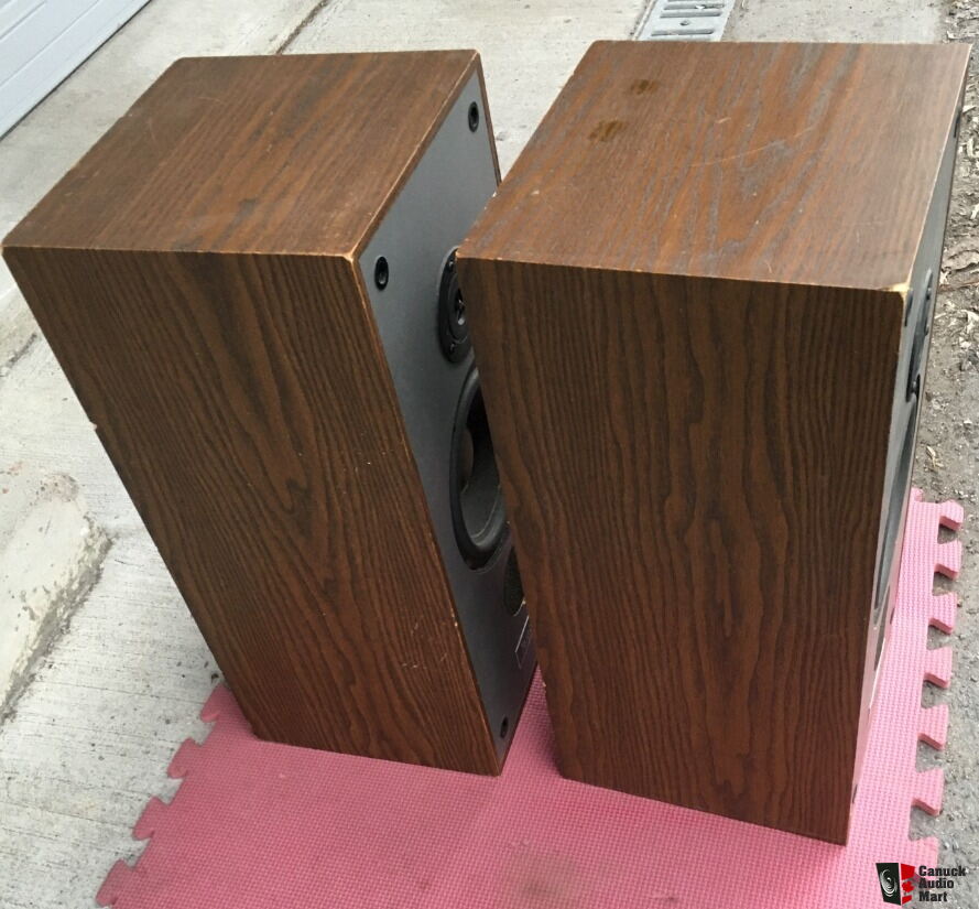 Paradigm model 5 speakers Photo #4201674 - US Audio Mart