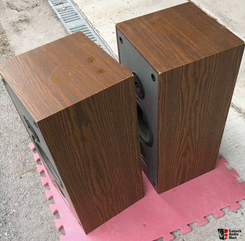 Paradigm model 5 speakers Photo #4201674 - US Audio Mart