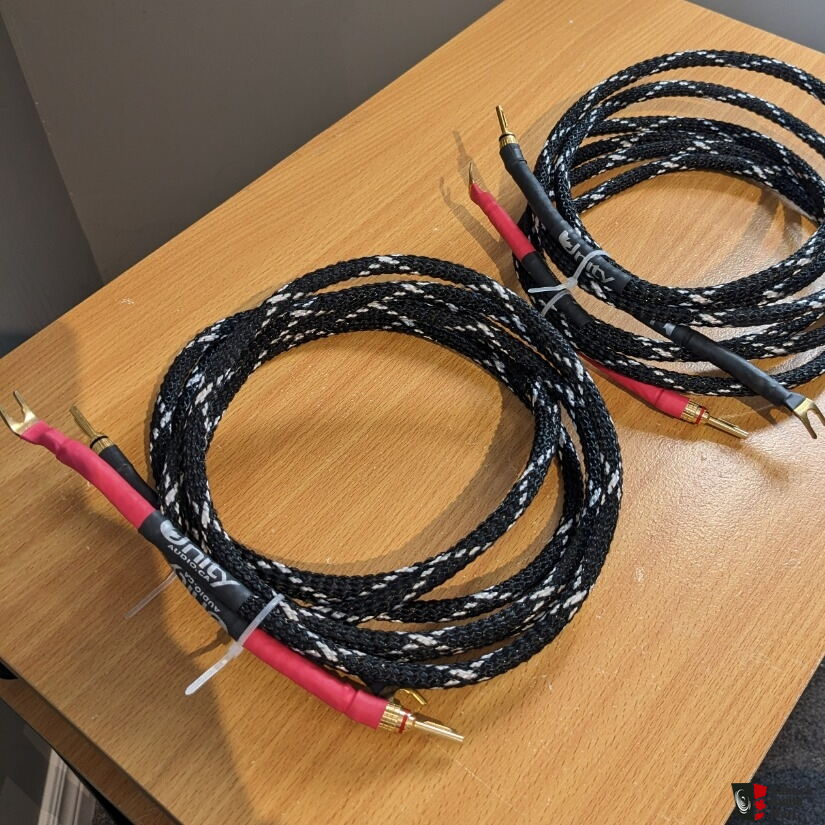 Unity Audio Cancer Fighter SL speaker cables Photo #4205016 - Canuck ...