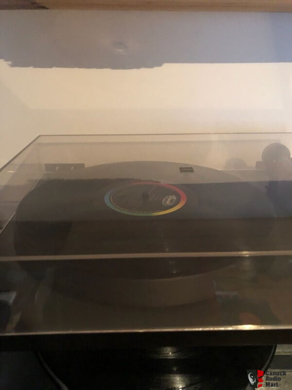 Rega P2 turntable or rega 202 tonearm for sale Photo #4206478 - US ...