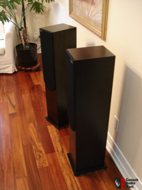 ProAc Studio 150 loudspeakers...EXCELLENT Photo #4207620 - US Audio Mart