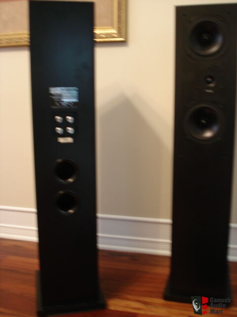 ProAc Studio 150 loudspeakers...EXCELLENT Photo #4207616 - Canuck Audio ...