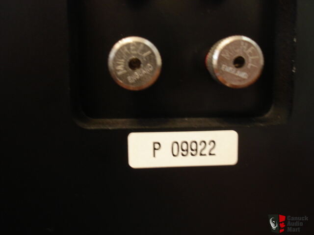 ProAc Studio 150 loudspeakers...EXCELLENT Photo #4207620 - US Audio Mart