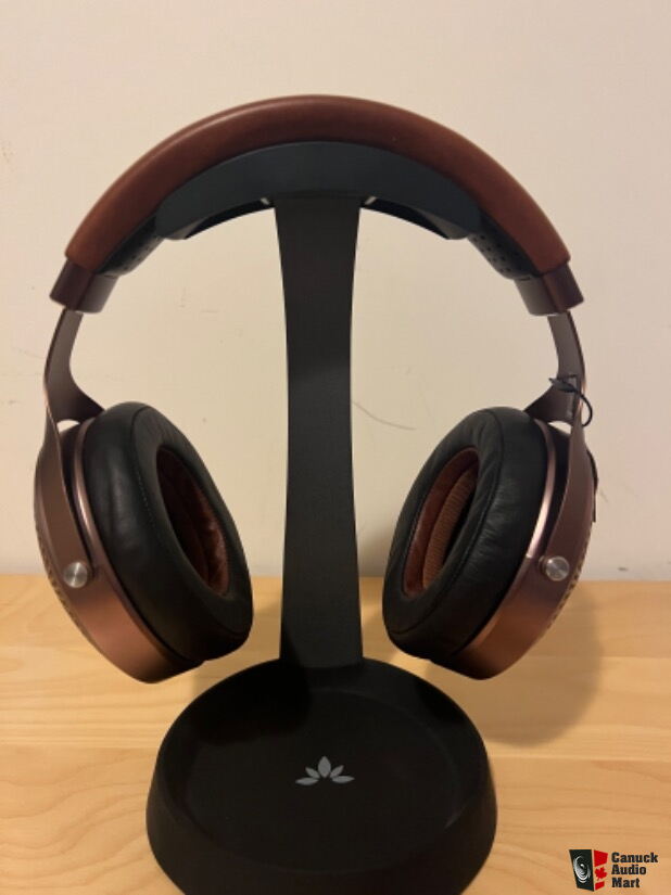 Focal Stellia Photo #4208149 - Canuck Audio Mart
