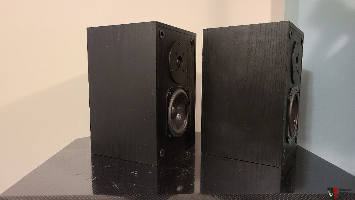 Design Acoustics DB-5 Standmount Loudspeakers Photo #4214909 - Canuck ...