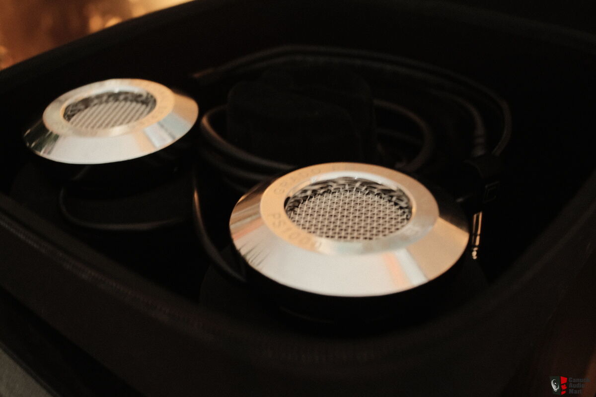 PS1000 w/ Case Photo #4216163 - Canuck Audio Mart