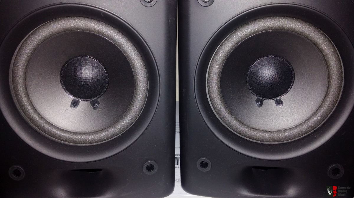 Bookshelf Speakers with Linaeum Tweeters Photo #4216541 - Canuck Audio Mart