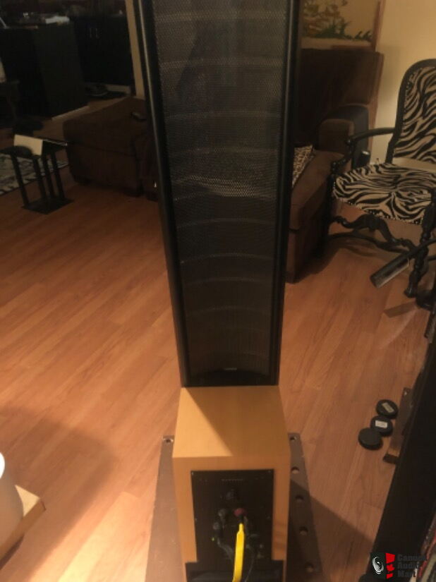 Martin logan vantage Photo #4225856 - US Audio Mart