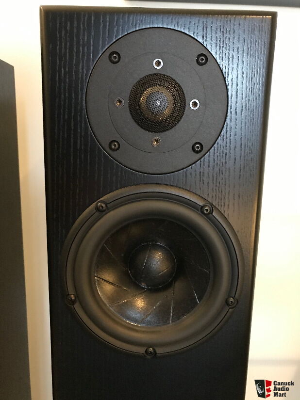 Totem Acoustic Hawk Photo #4226615 - US Audio Mart