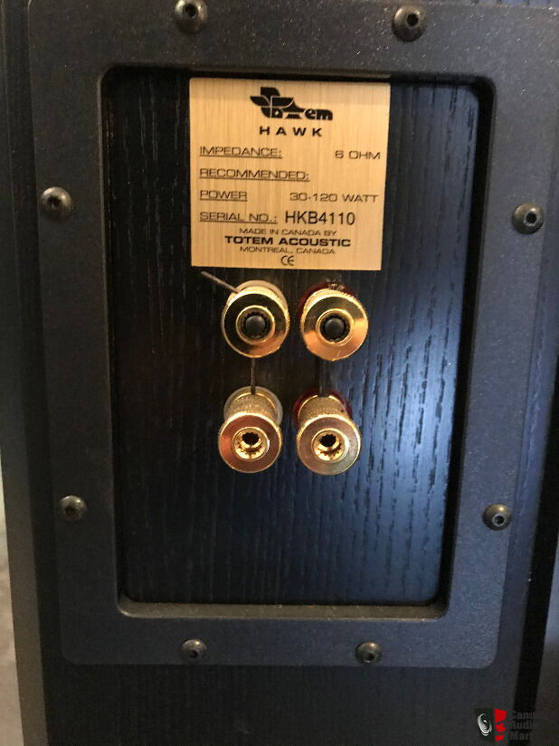 Totem Acoustic Hawk Photo #4226623 - US Audio Mart