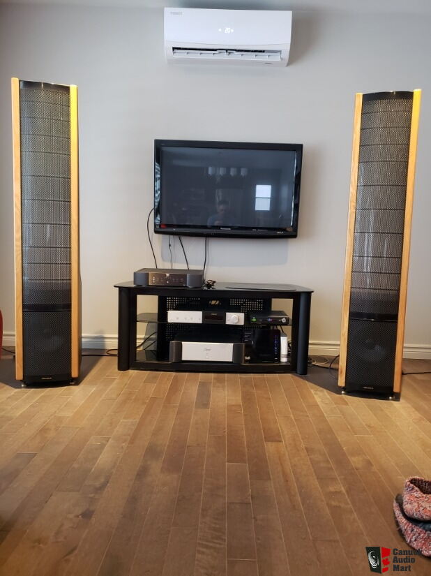 Martin Logan SL3 Photo #4231391 - Canuck Audio Mart