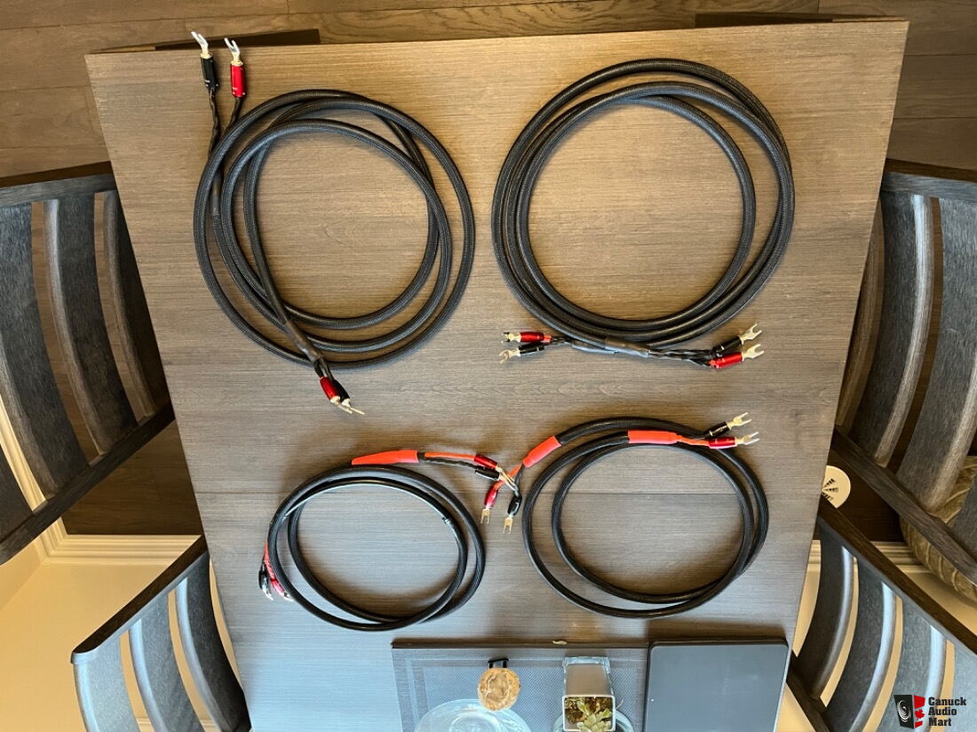 Neotech NES 3005 OCC copper with Audioquest Suregrip 1000 spades Photo ...