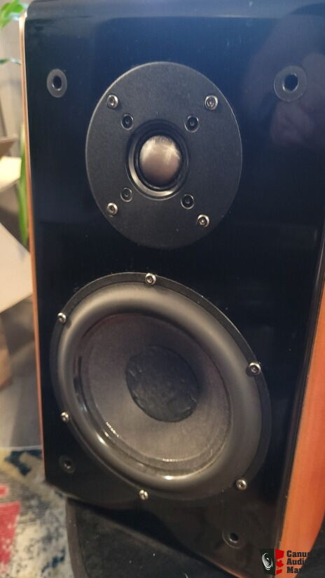 Outstanding reviews, rare Usher X-718 Speakers Photo #4235125 - US ...