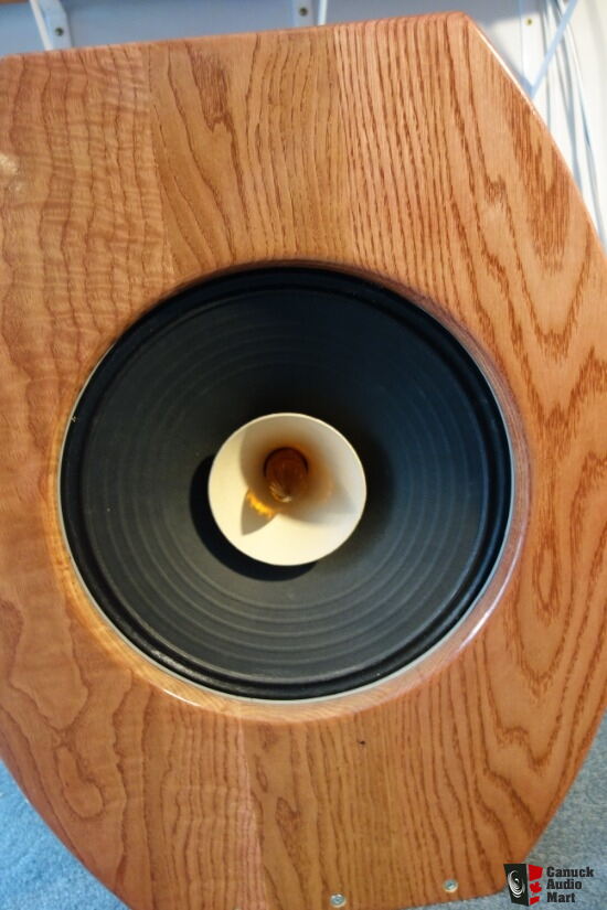 Lii Audio Open Baffle F15 W15 Photo #4242674 - US Audio Mart
