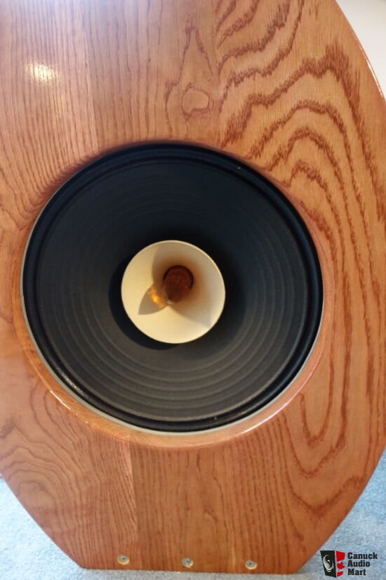 Lii Audio Open Baffle F15 W15 Photo #4242674 - US Audio Mart