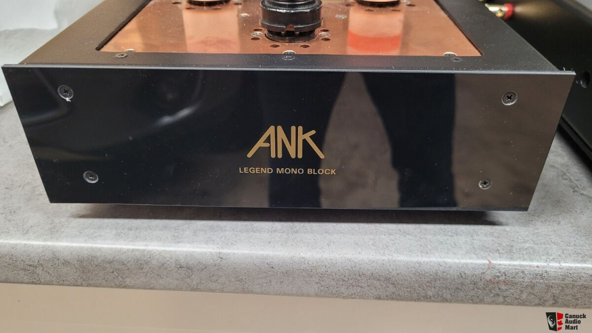 ANK 300B Mono Block Amps Photo #4242991 - Canuck Audio Mart