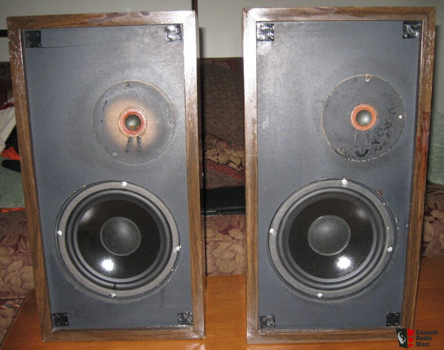 Epicure M100 Speakers Photo #424310 - Canuck Audio Mart
