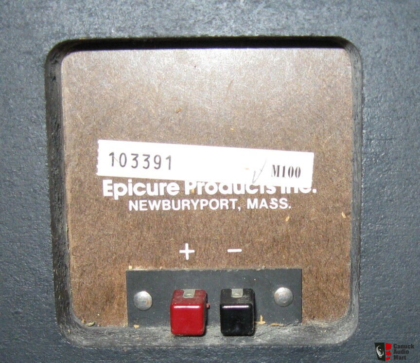 Epicure M100 Speakers Photo #424310 - Canuck Audio Mart