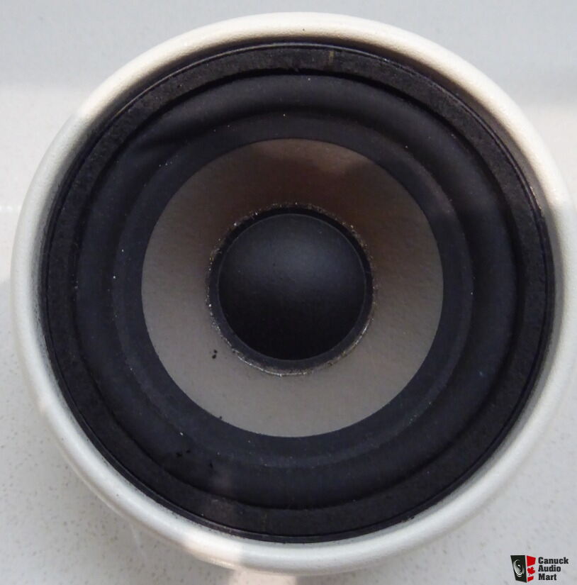 Anthony Gallo Acoustics Nucleus Micro speakers Photo #4243175 - US ...