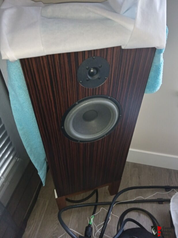 Audio Note ANe-LX paper woofer with Maccasar finish! Photo #4247262 ...