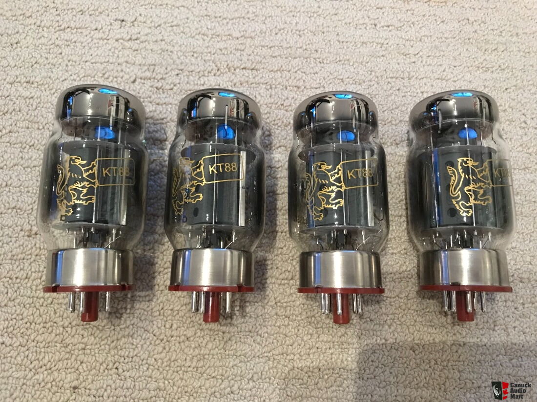 Gold Lion KT88 tubes (set of 4 platinum-matched) Photo #4250531 ...